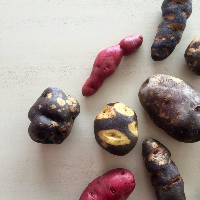 3 KG DE PAPAS CHILOTAS DE FOYE MAPU